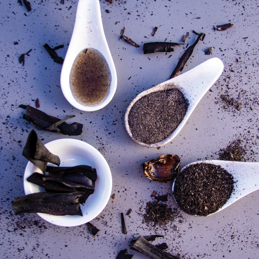 Vegetable Ash - Edible New Mexico